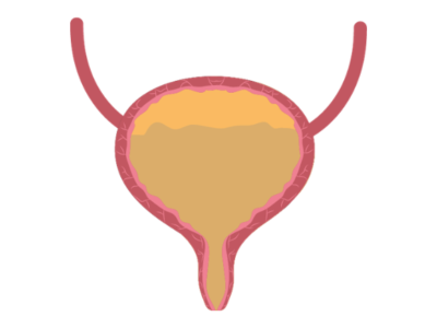 Tensi Plus – Bladder Control | CliniMed